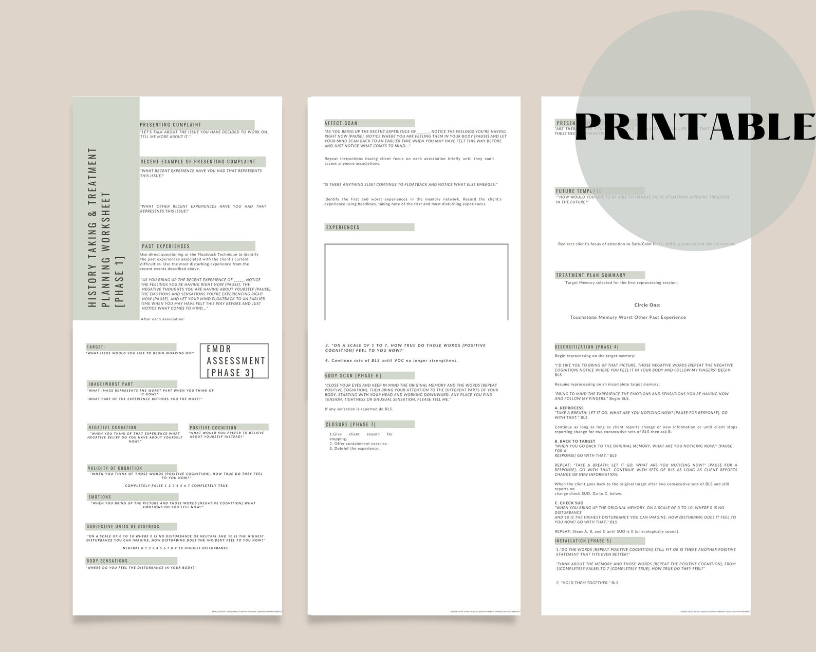 EMDR Worksheets for EMDR Therapy | Therapy Worksheets | | Emdr Therapy ...