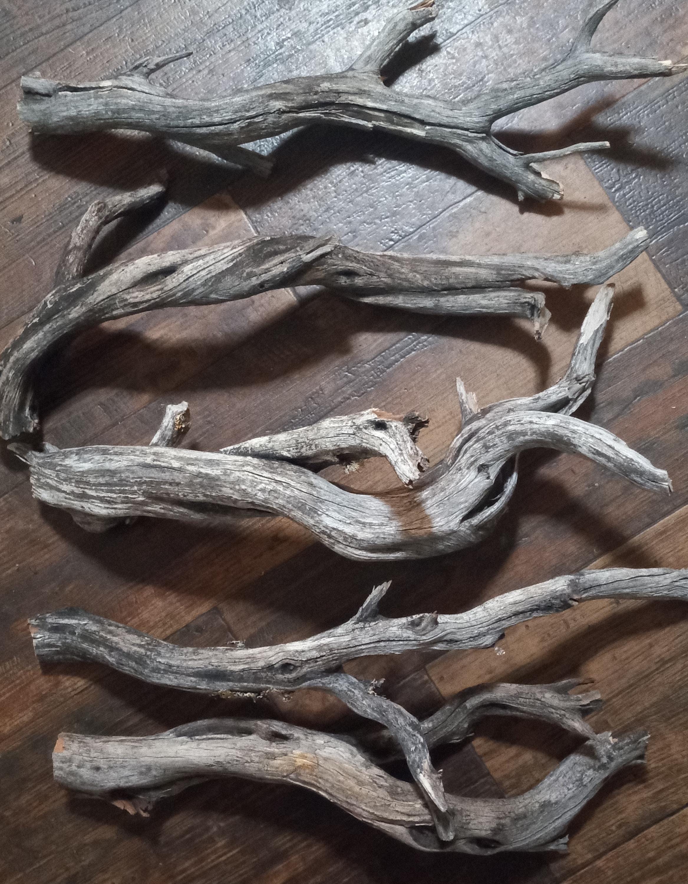 2 Pcs 18-20 in Manzanita Ghostwood Branches Aquascaping, Aquarium ...