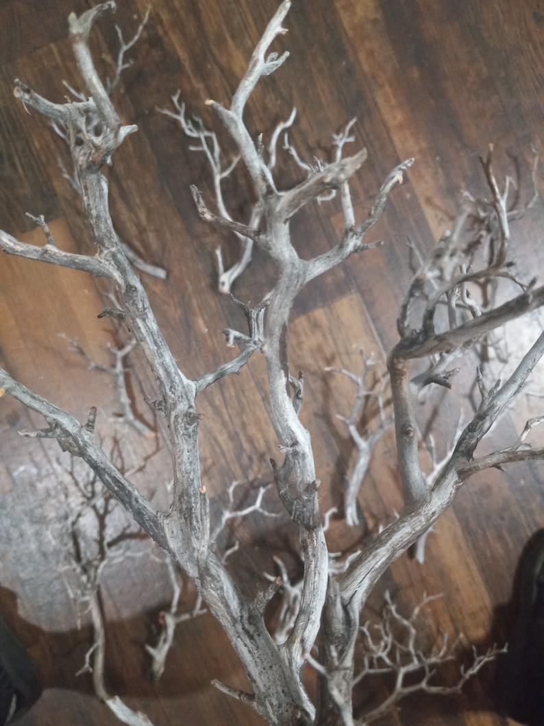 6 Pcs Manzanita Driftwood Branches 15-18 Inch Aquarium Terrarium Decor ...