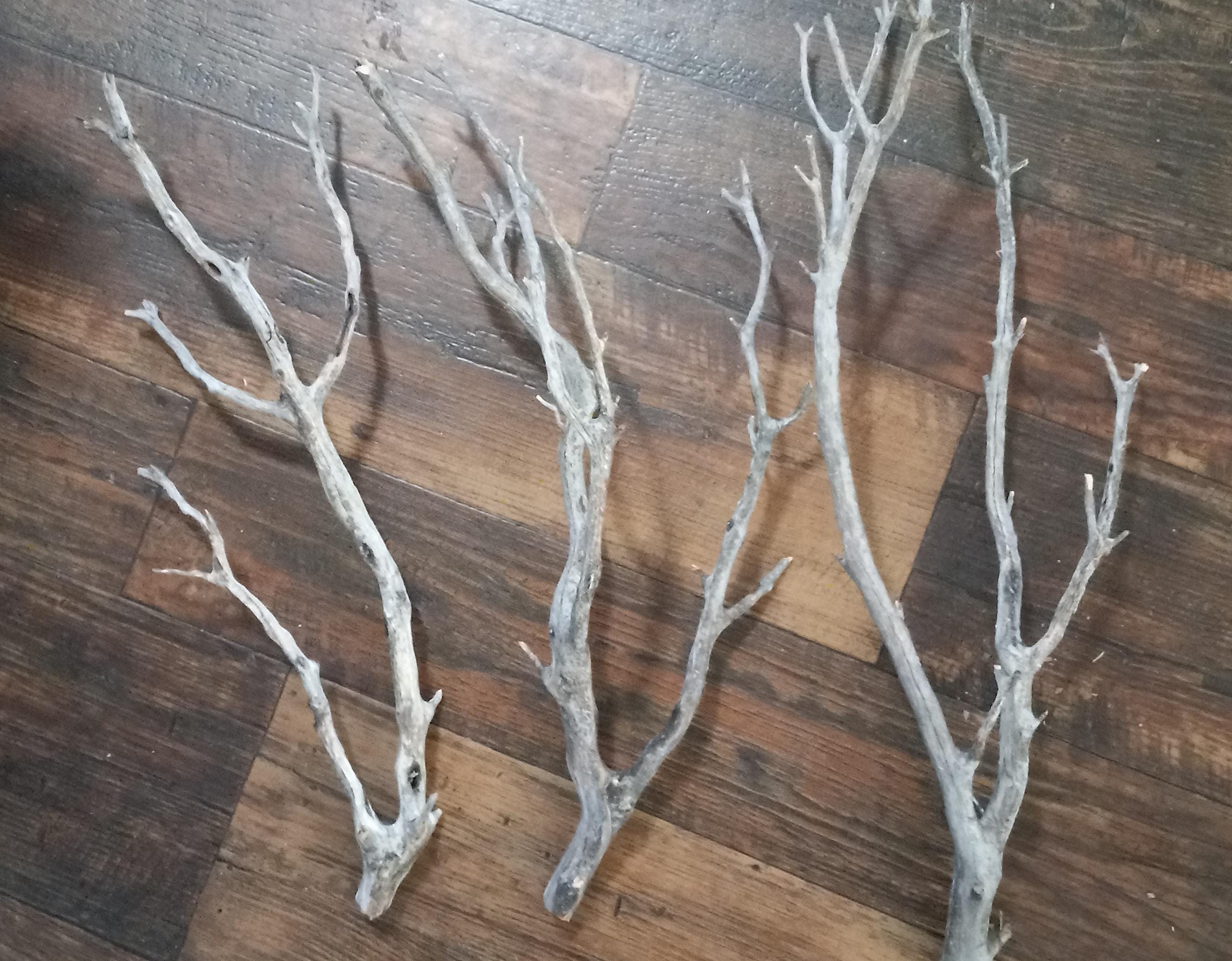 4 Gray Manzanita Driftwood Branches (20-22 In) - Aquarium, Terrarium ...