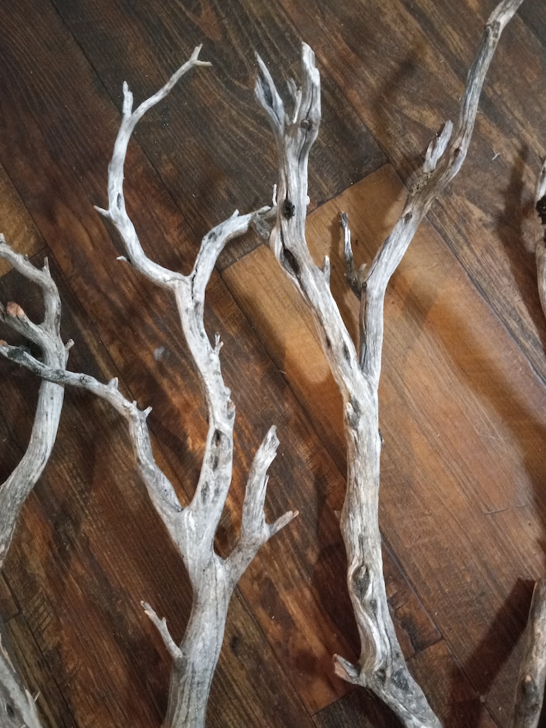 8 Gray Manzanita Driftwood Branches (12-14 Inch): Aquarium, Terrarium ...