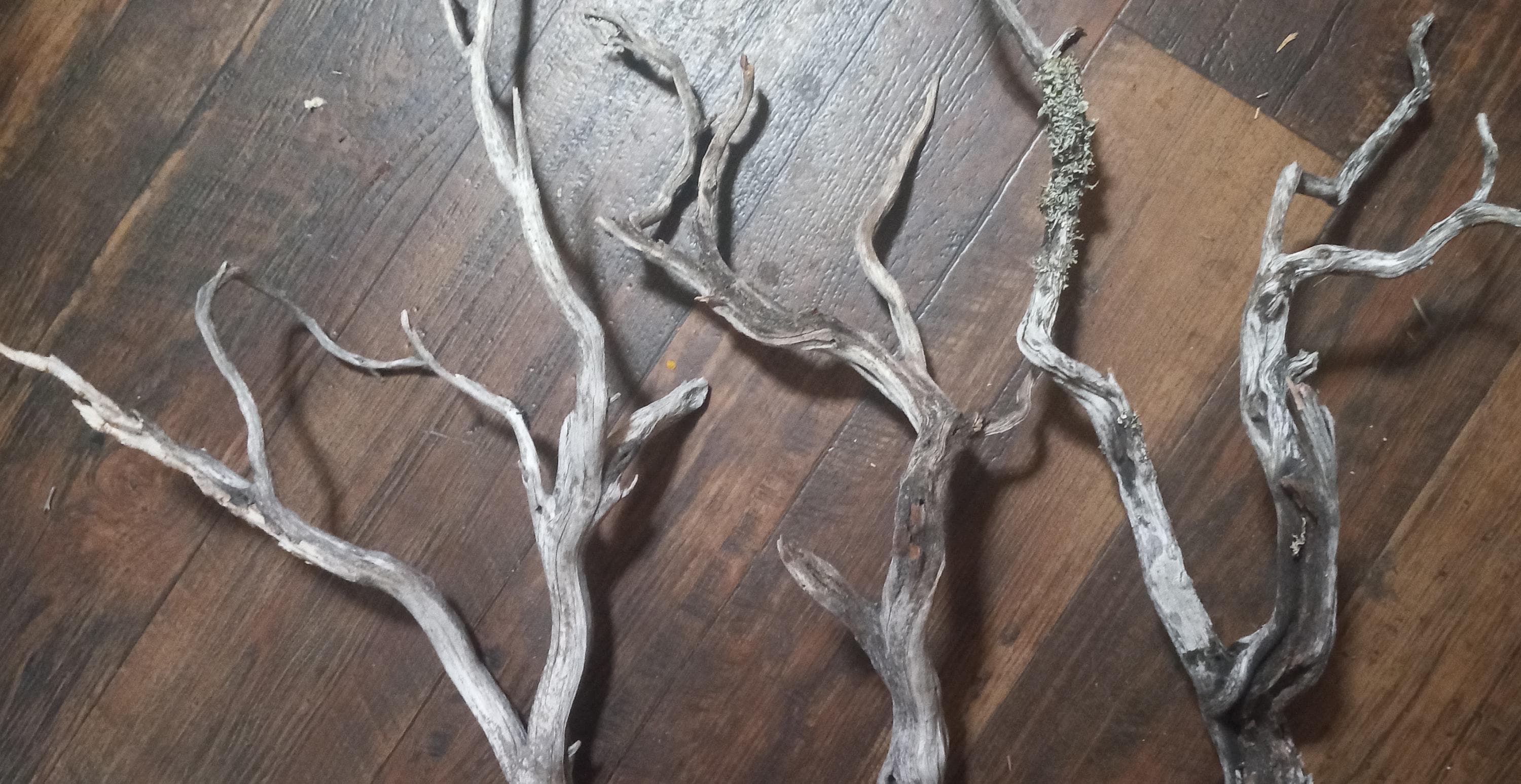8 Gray Manzanita Driftwood Branches (12-14 Inch): Aquarium, Terrarium ...