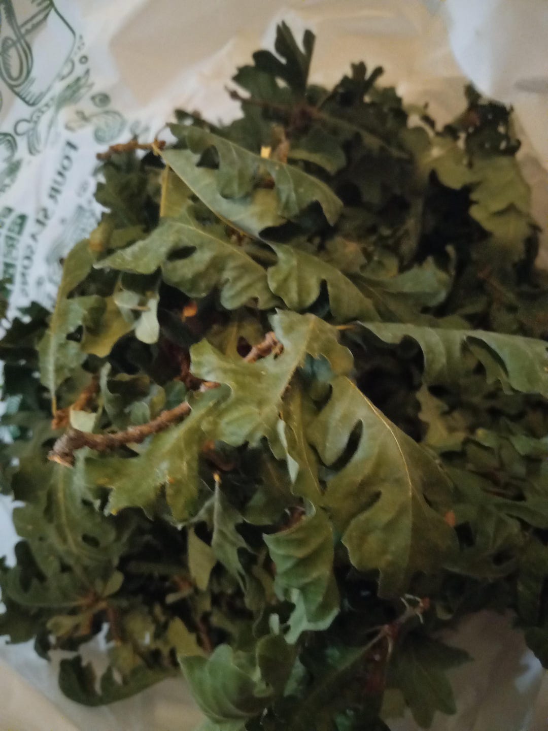 1 Gallon Size Bag Oak Leaves Leaf Litter for Terrarium Vivarium Isopod ...