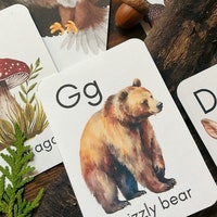 Woodland Animals Alphabet Clipart: Nursery Abcs (digital Download) - Etsy