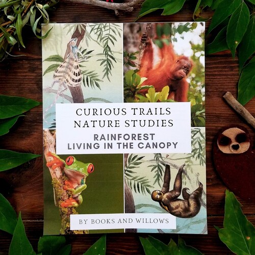 Rainforest Animals Unit Study Curious Trails Nature Study - Etsy