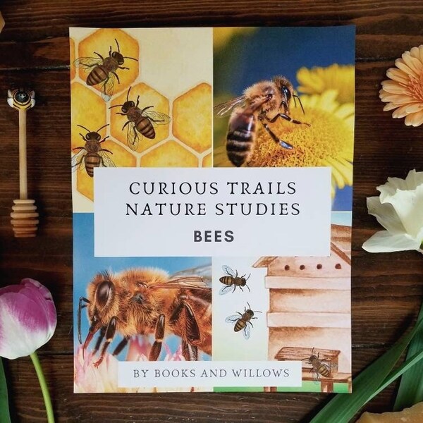 Honey Bee Unit - Etsy