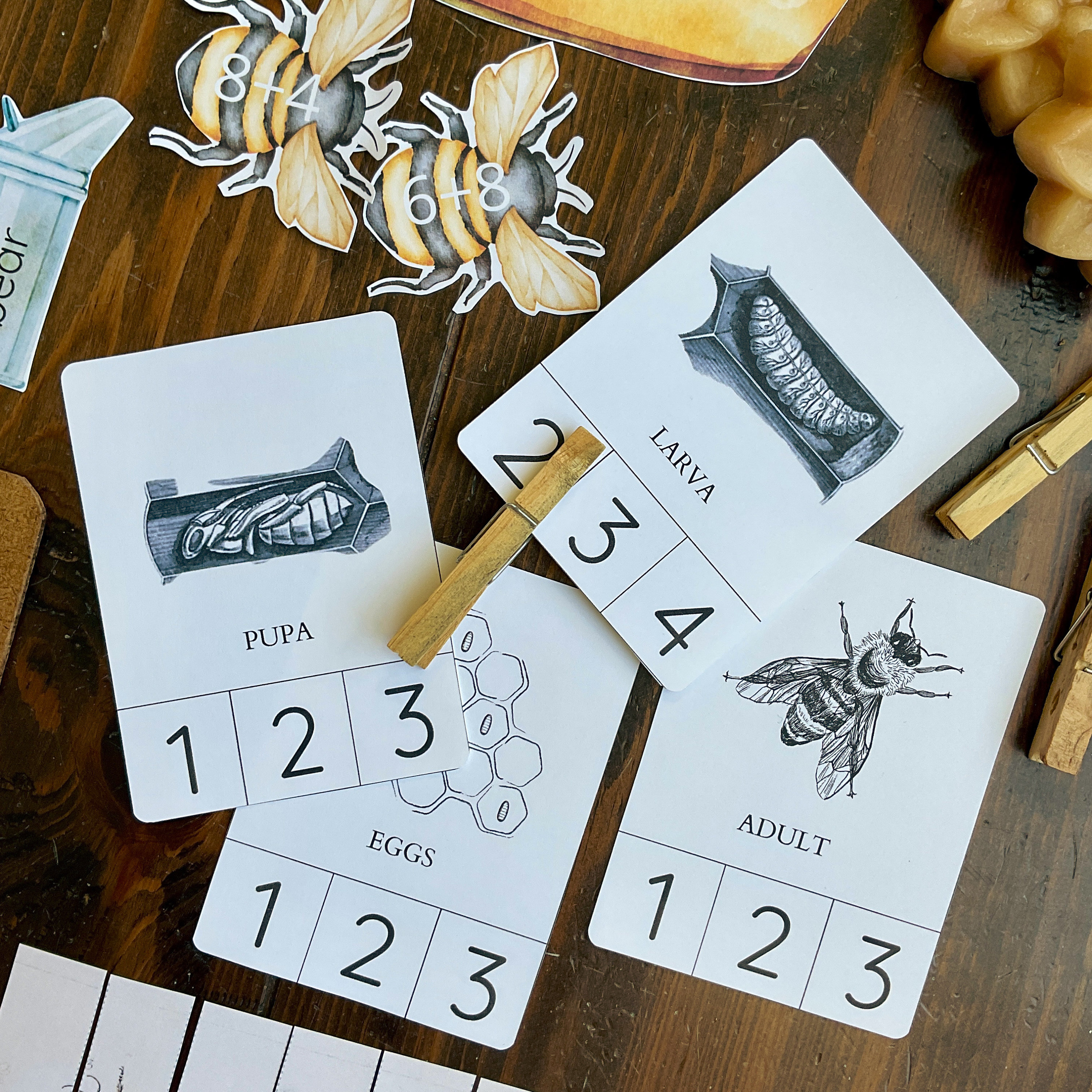 Honey Bee Early Learning Unit | Morning Basket | Preschool ...