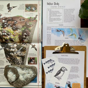 Arctic Ocean Unit Study - Curious Trails | Science Unit | Homeschool ...