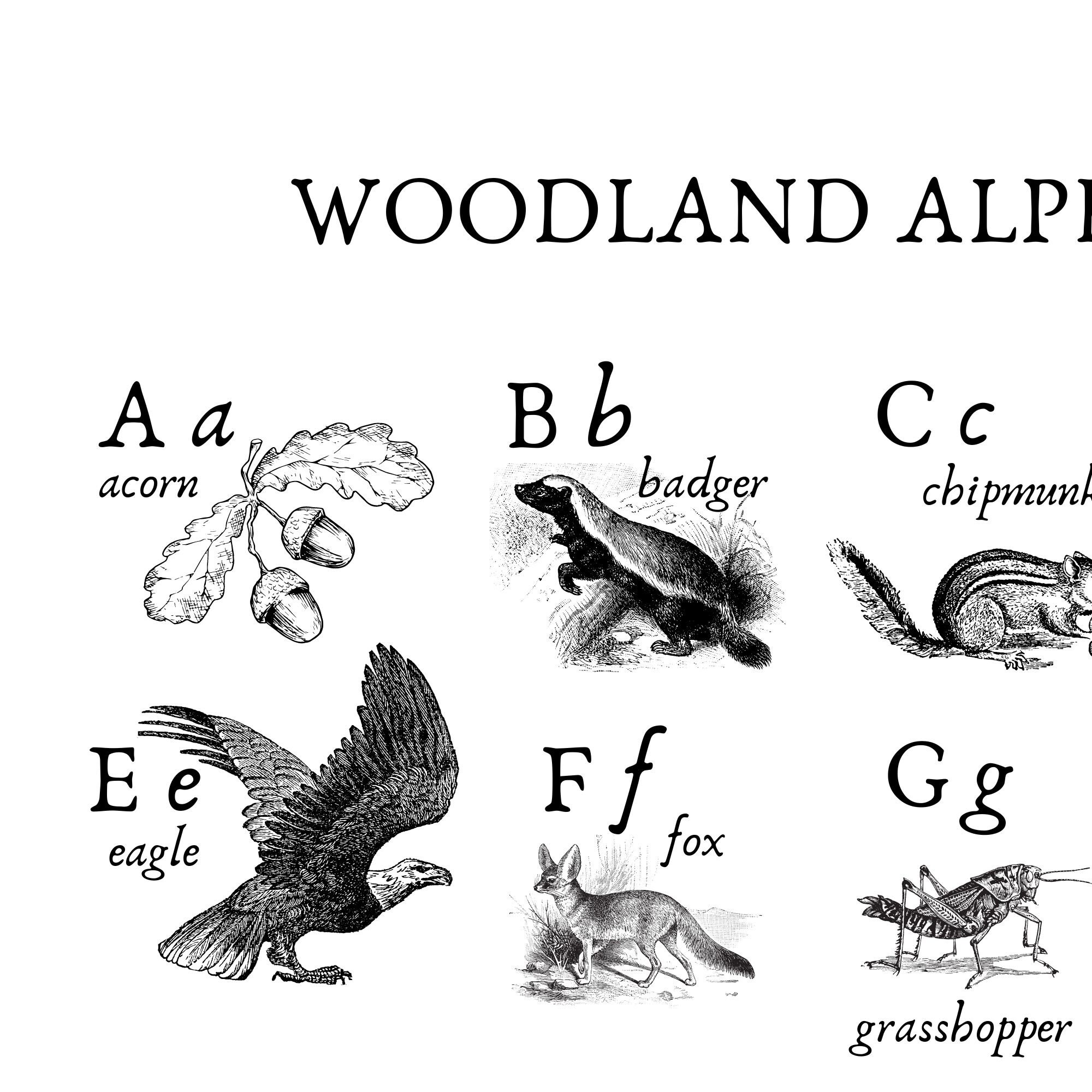 Woodland Alphabet Print | ABC Poster | Woodland Nursery | Homeschool ...