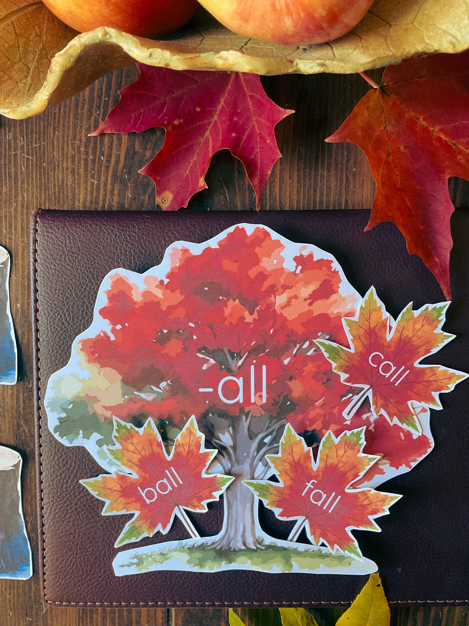 Autumn Early Learning Unit: Preschool & Kindergarten Activities (PDF ...
