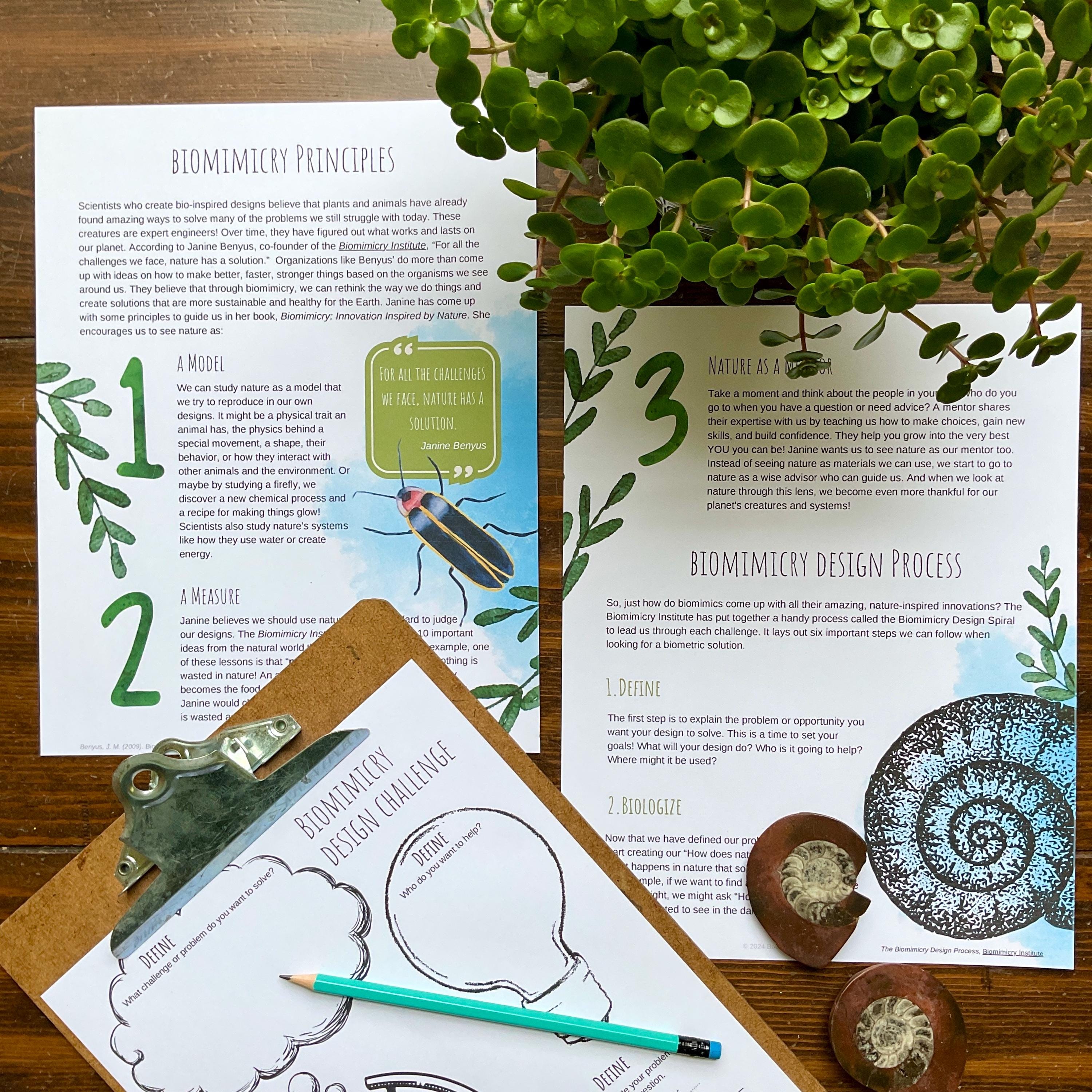 Biomimicry Unit Study: Curious Trails Homeschool Curriculum (PDF ...