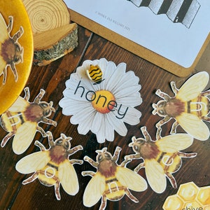 Honey Bee Early Learning Unit: Preschool & Kindergarten Activities (PDF ...