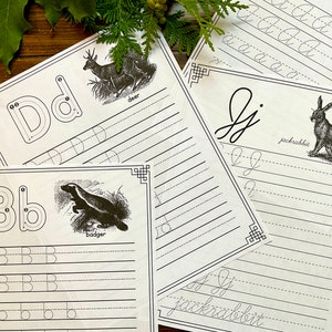 Woodland Nature Traceable Alphabet | Print and Cursive Handwriting ...