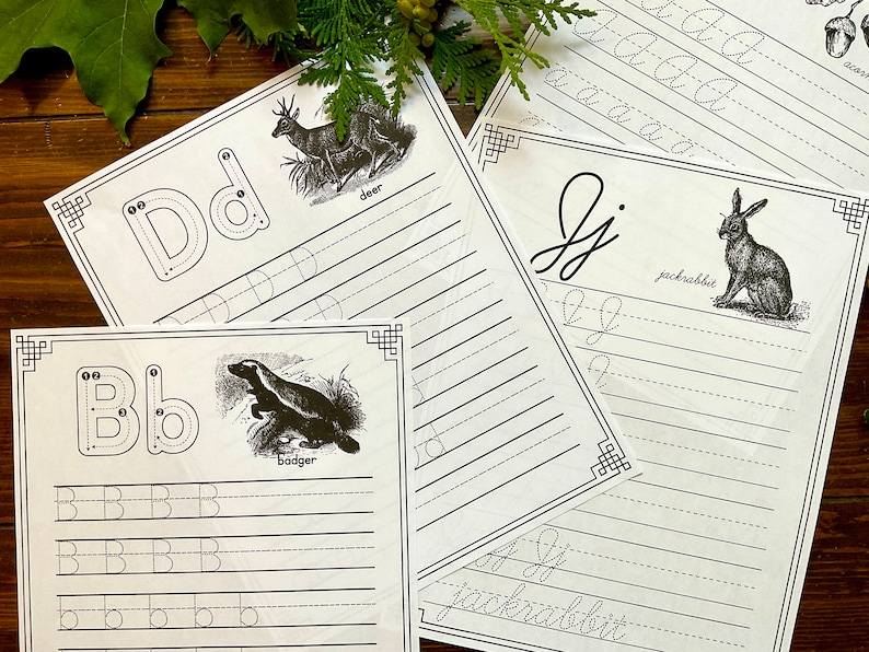Woodland Nature Traceable Alphabet | Print and Cursive Handwriting ...