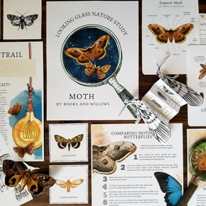 Minibeast Bundle Looking Glass Nature Study Anatomy and Lifecycle ...