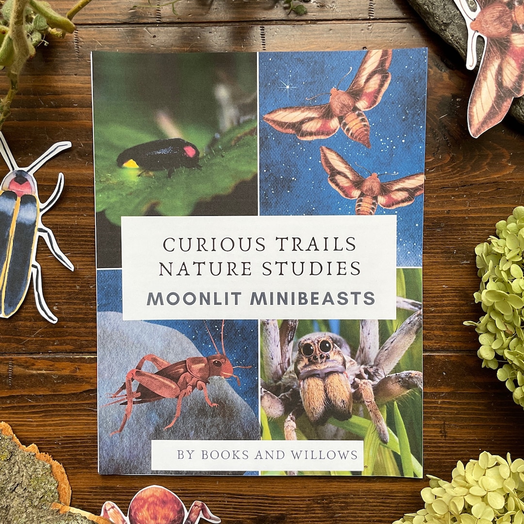 Moonlit Minibeasts Nature Study: Curious Trails Homeschool Curriculum ...