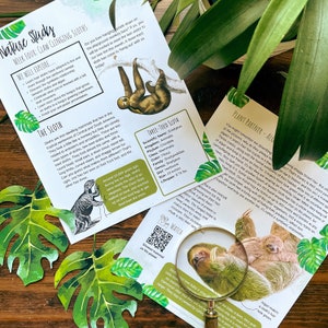 Rainforest Animals Unit Study - Curious Trails | Nature Study ...