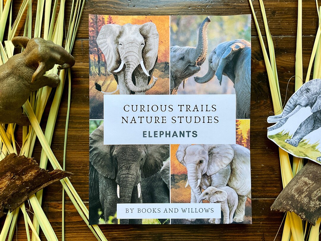 Elephant Unit Study Curious Trails Nature Study Homeschool Curriculum ...