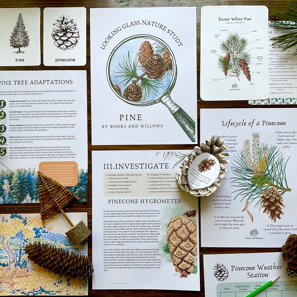Pine Tree Nature Study - Etsy