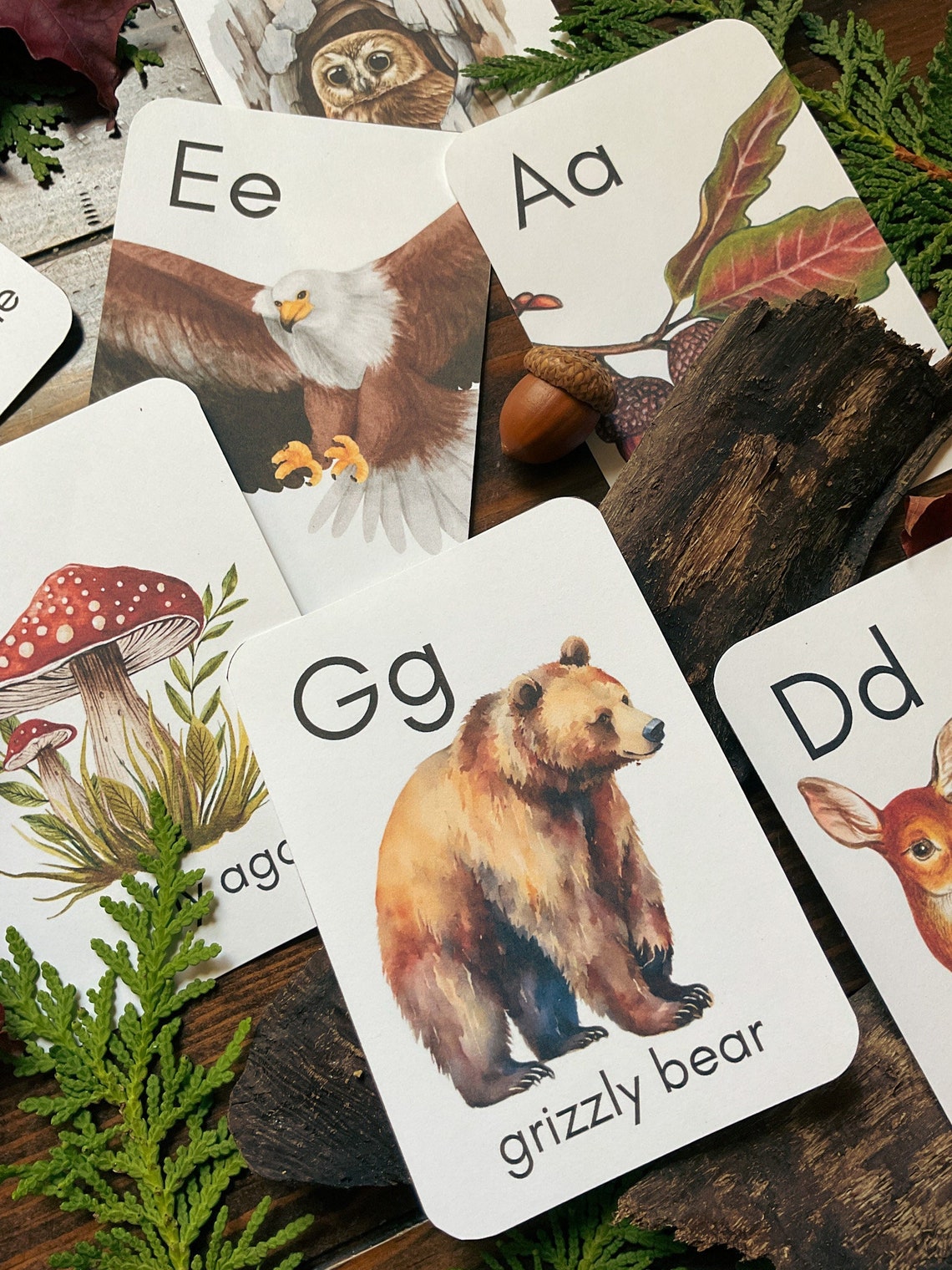 Forest Alphabet Cards Montessori Homeschool Preschool - Etsy