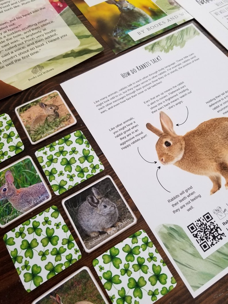 Rabbit Unit Study Curious Trails Nature Study Homeschool - Etsy