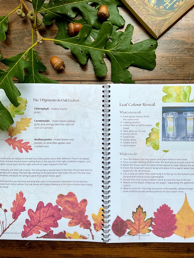 Heartwood Hotel Autumn Literature Guide: Nature Activities & Novel ...