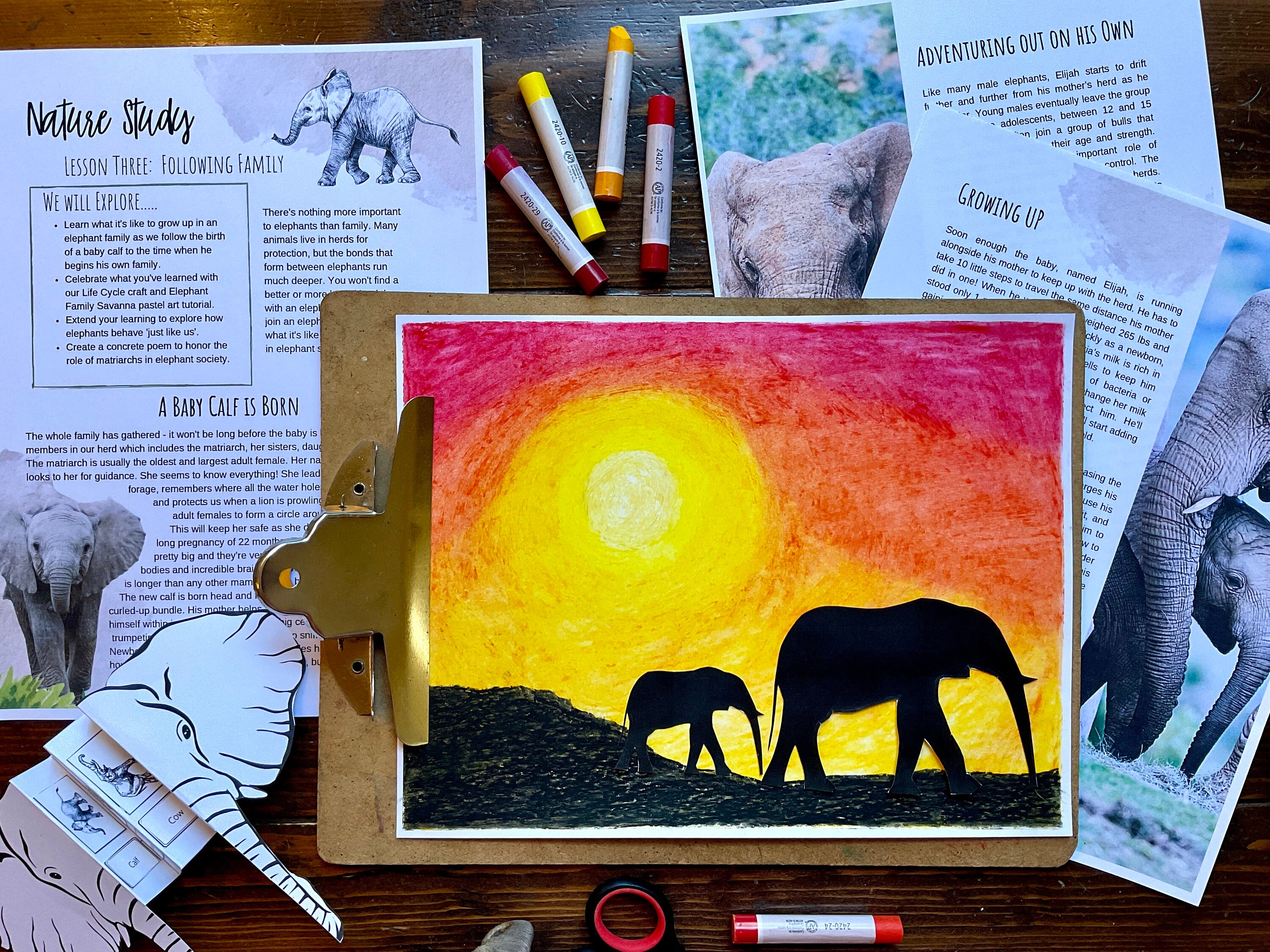 Elephant Unit Study - Curious Trails Nature Study | Homeschool ...