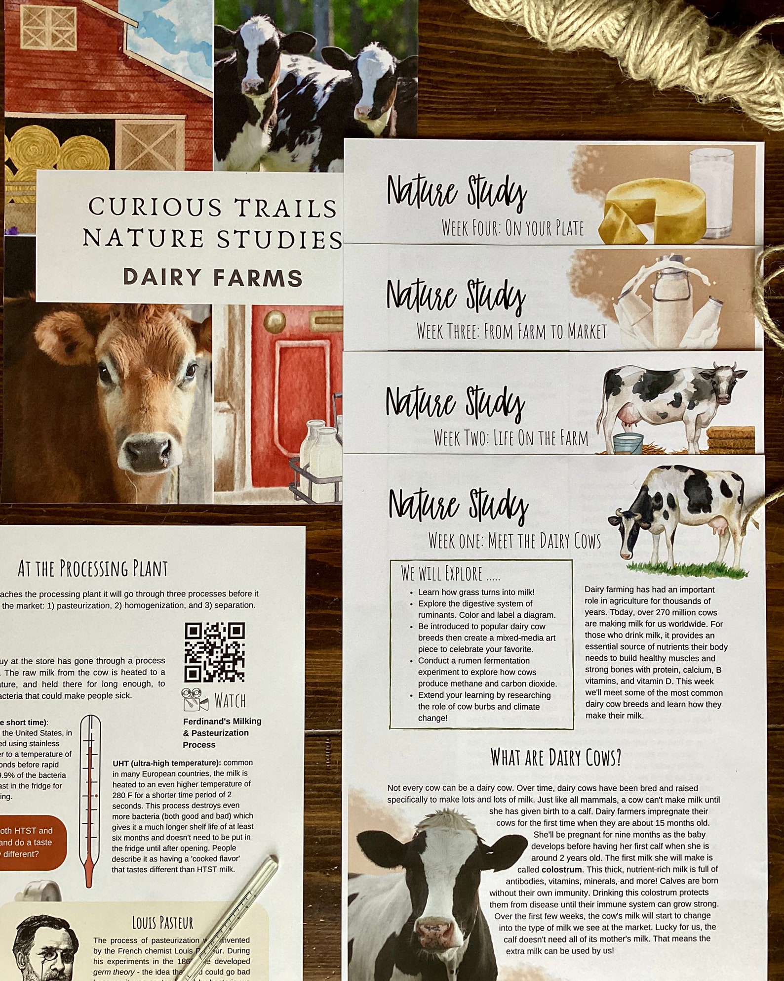Dairy Farm Unit Study Curious Trails Nature Study Farm - Etsy