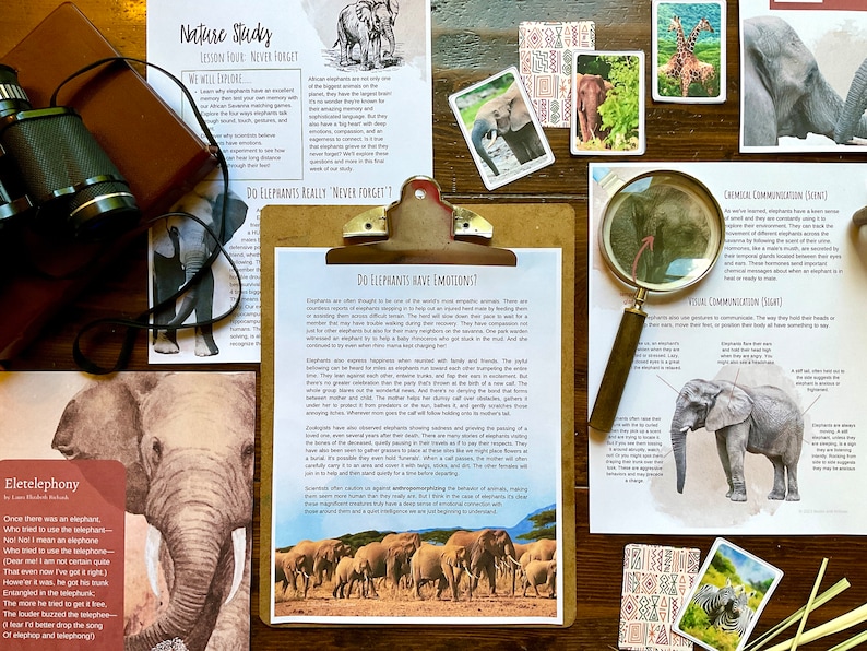 Elephant Unit Study - Curious Trails Nature Study | Homeschool ...