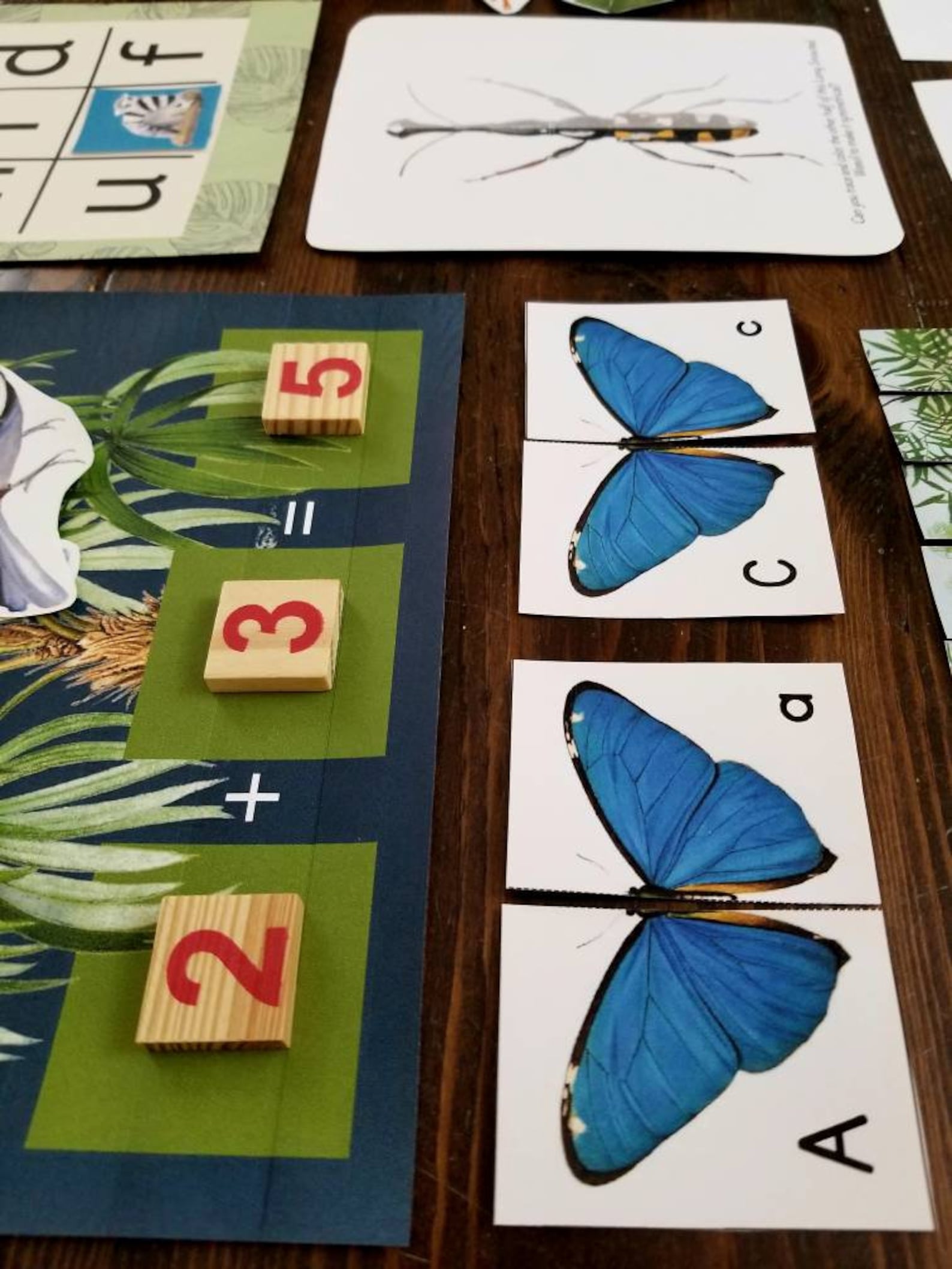 Rainforest Early Years Activity Pack Phonics & Math - Etsy Canada