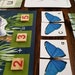 Rainforest Early Years Activity Pack Phonics & Math - Etsy Canada