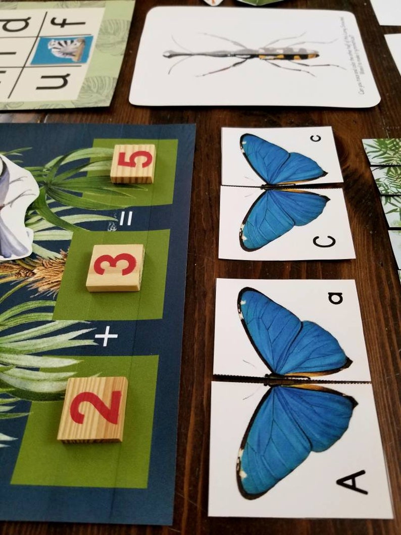 Rainforest Early Years Activity Pack Phonics & Math - Etsy Canada