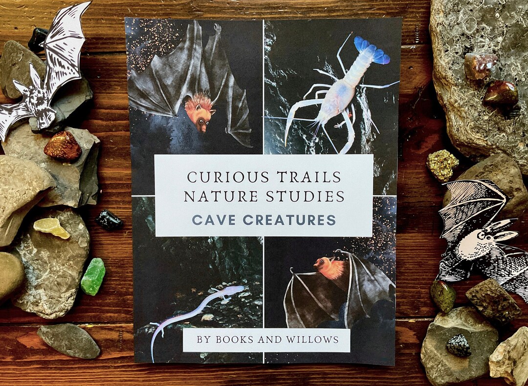 Cave Creatures Unit - Curious Trails Nature Study | Bat Unit | Homeschool Curriculum - Etsy