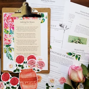 Rose Nature Study | Flower Anatomy & Lifecycle | Garden Study ...