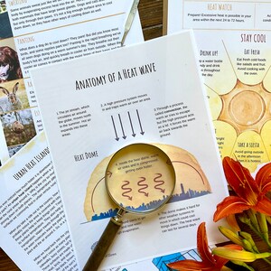 Extreme Weather Unit Study: Curious Trails Homeschool Curriculum (PDF ...