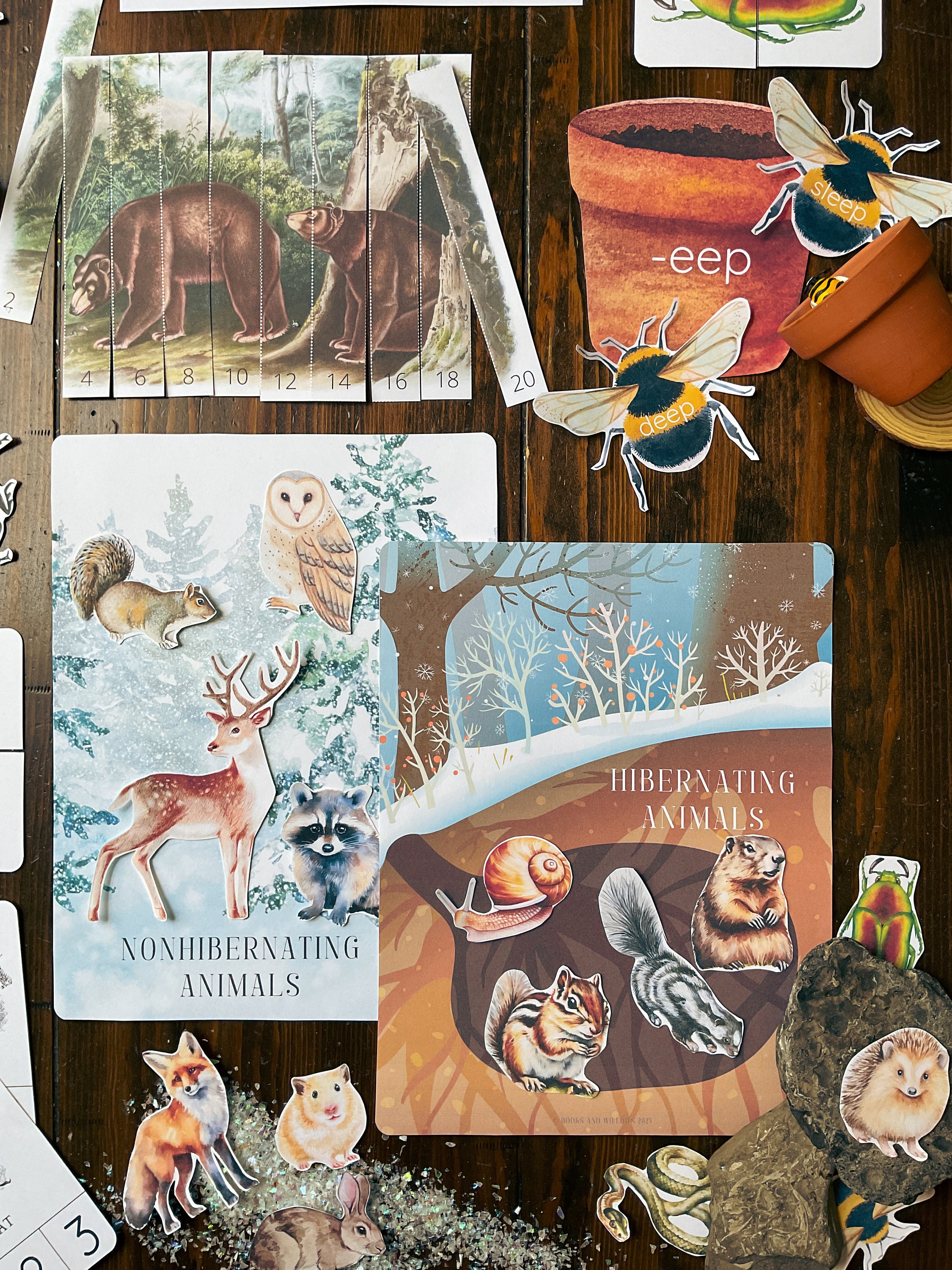 Hibernation Early Learning Unit: Winter Preschool & Kindergarten ...