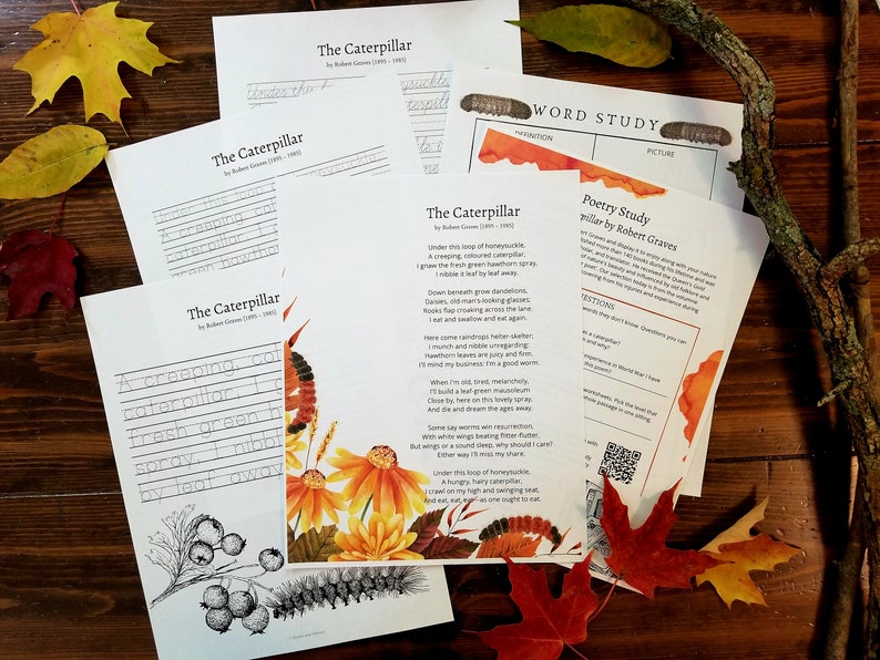 Woolly Bear Caterpillar Nature Study: Homeschool Fall Printable (PDF ...