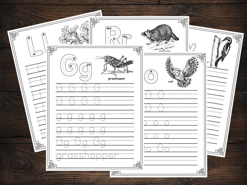 Woodland Nature Traceable Alphabet Print and Cursive - Etsy