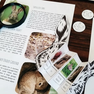 Rabbit Unit Study Curious Trails Nature Study Homeschool Curriculum - Etsy