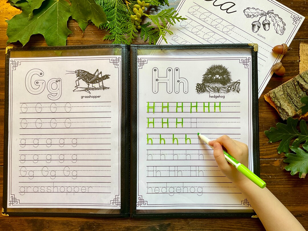 Woodland Nature Traceable Alphabet Print and Cursive - Etsy