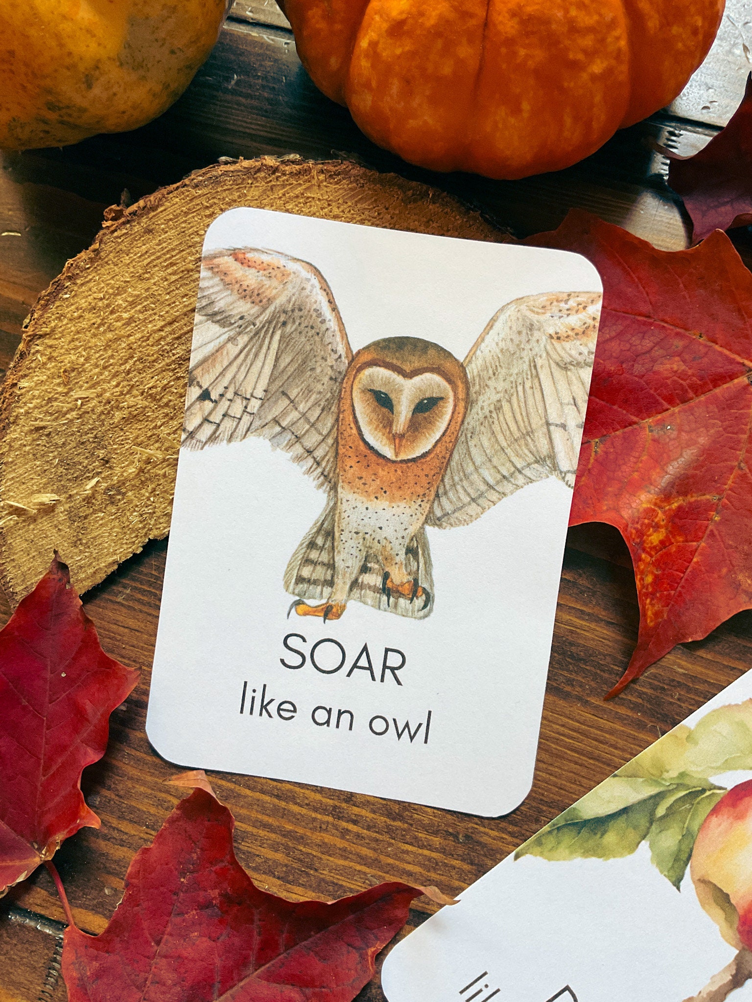 Fall Movement Cards Montessori Flashcards Preschool - Etsy