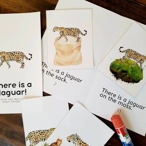 Rainforest Early Years Activity Pack Phonics & Math - Etsy Canada