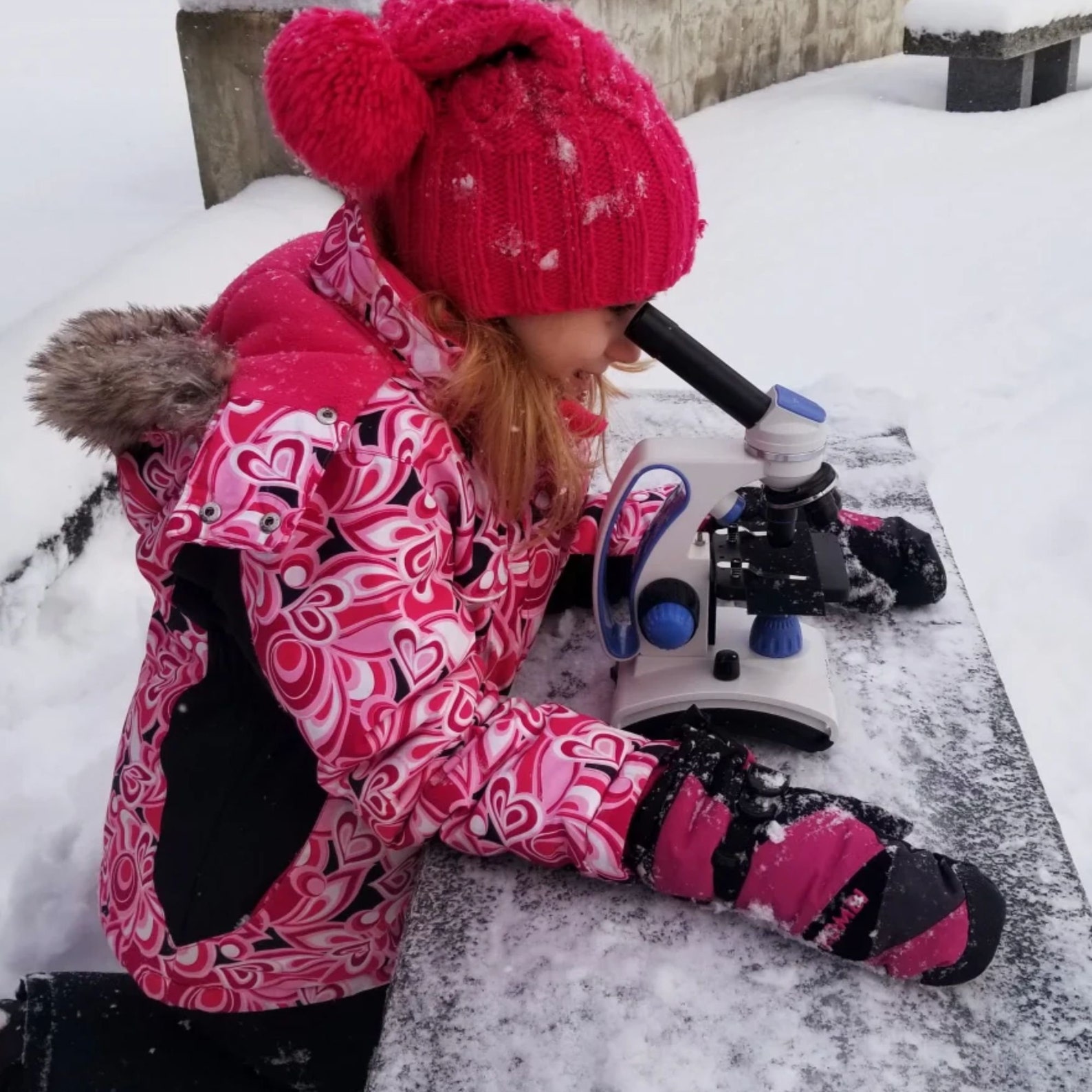 A Thing Called Snow Family Literature and Activity Guide - Etsy