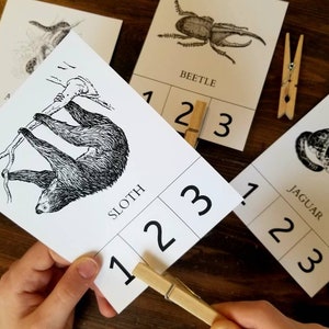 Rainforest Early Years Activity Pack Phonics & Math - Etsy Canada