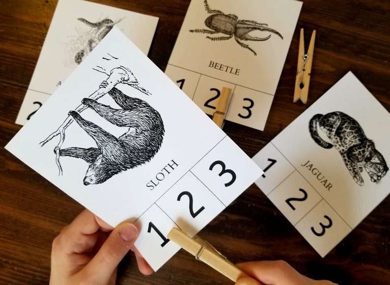 Rainforest Early Years Activity Pack Phonics & Math - Etsy Canada