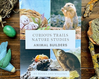 Prairie Unit Study - Etsy