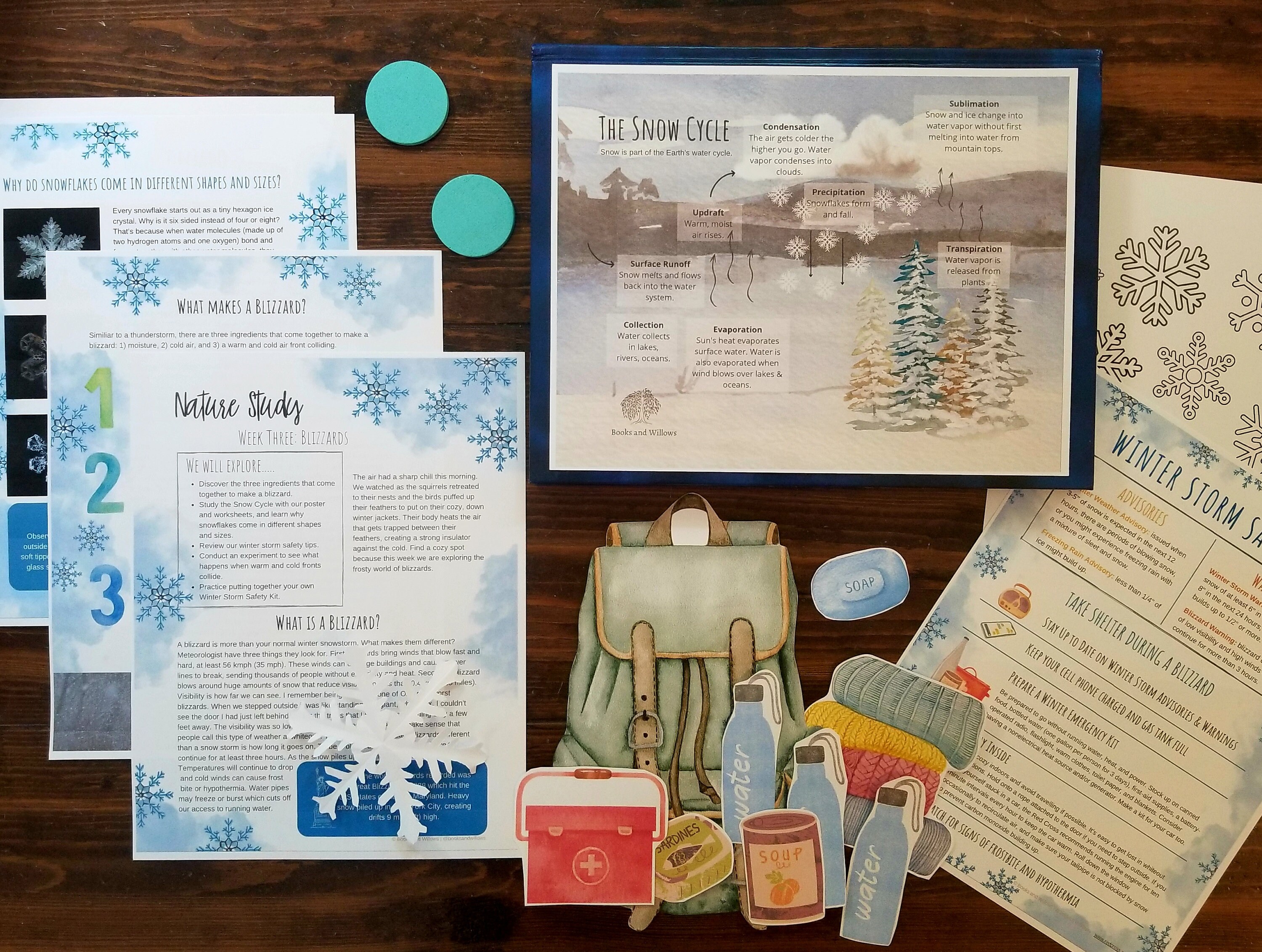 Extreme Weather Unit Study Curious Trails Nature Study - Etsy