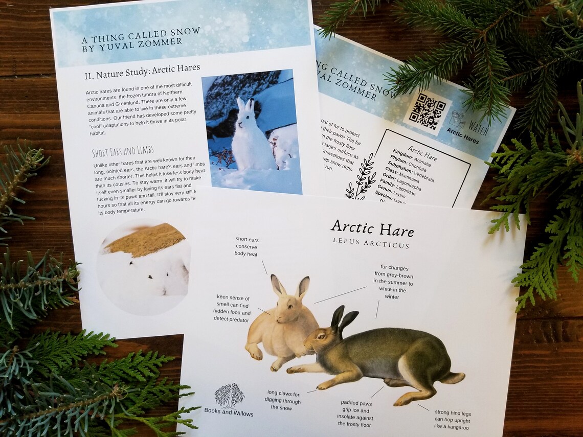 A Thing Called Snow Family Literature and Activity Guide - Etsy