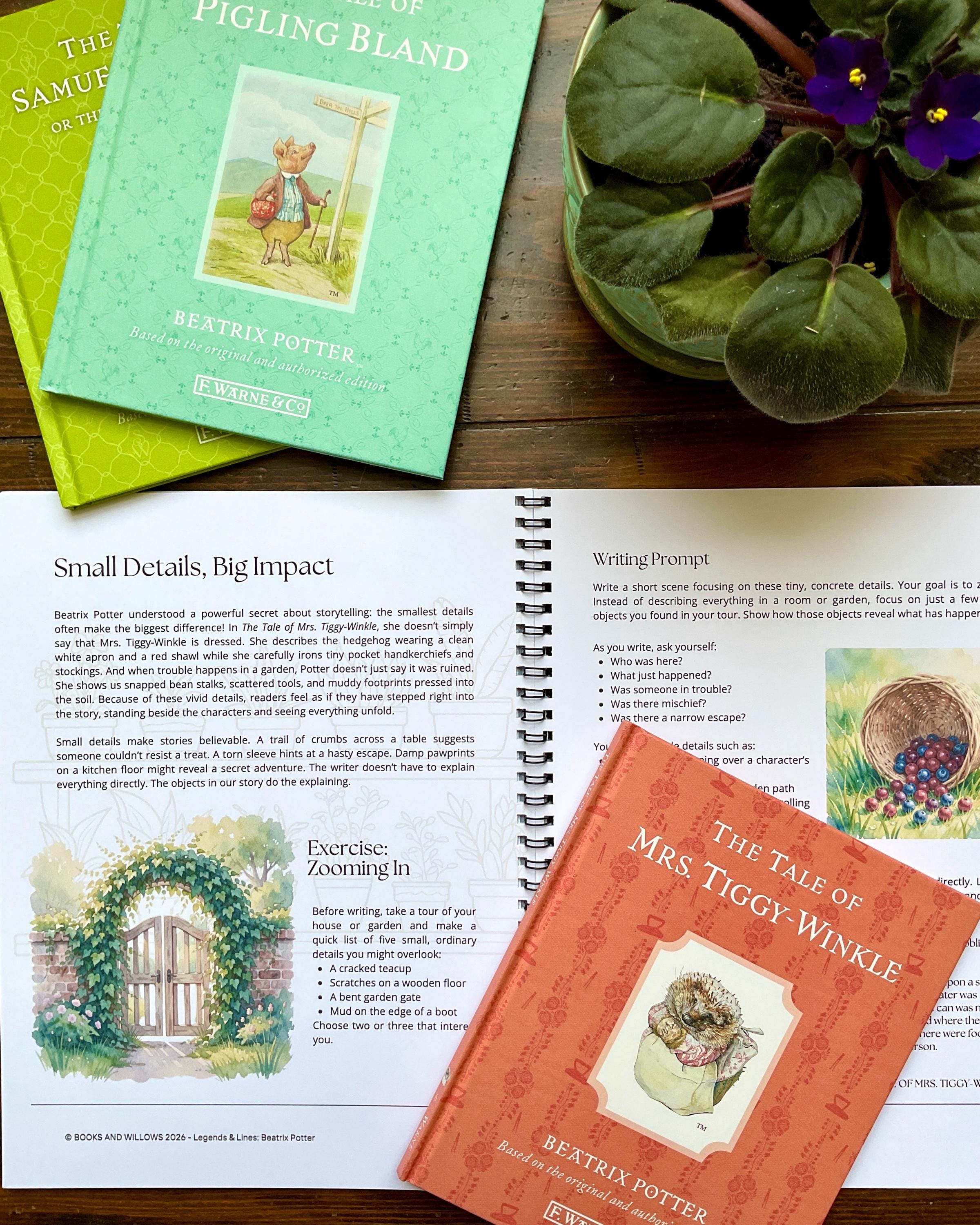Beatrix Potter Writing Unit: Legends & Lines Homeschool Curriculum - Etsy
