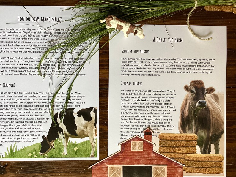 Dairy Farm Unit Study Curious Trails Nature Study Farm - Etsy